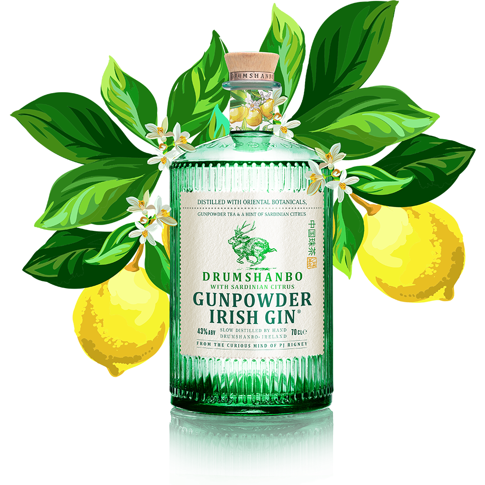 Drumshanbo Gunpowder Irish Gin Sardinian Citrus Edition (750ml ...